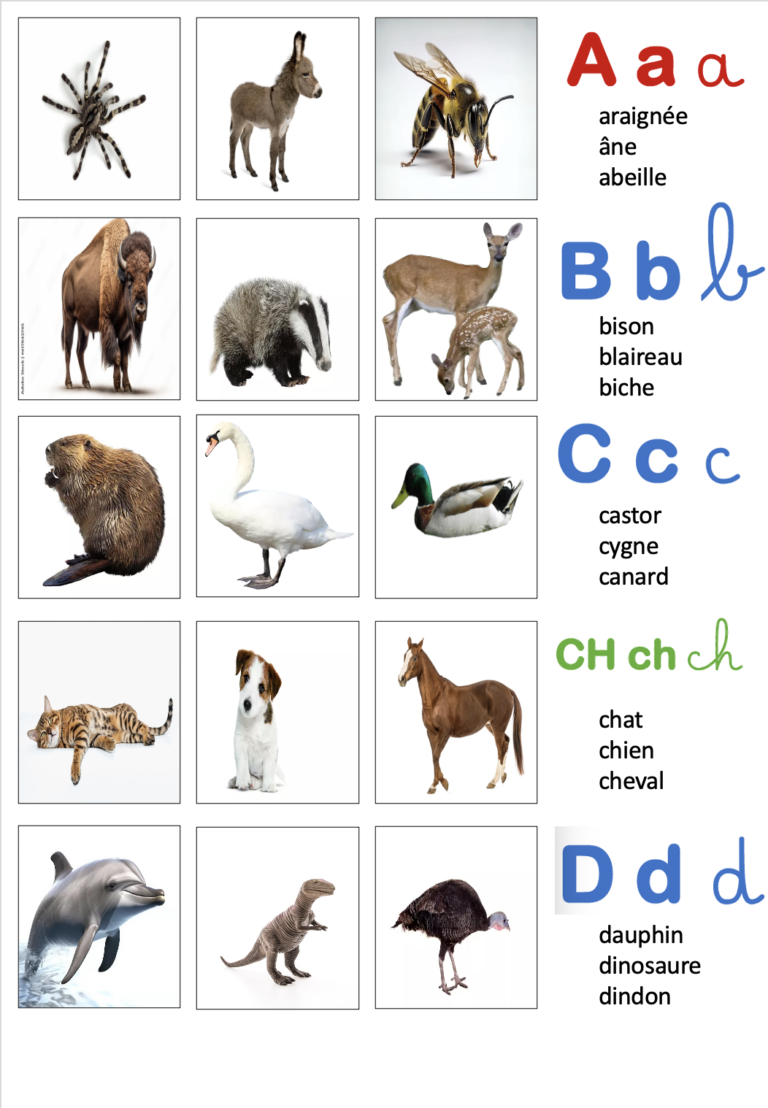 -Maison des sons avec abécédaire animalier