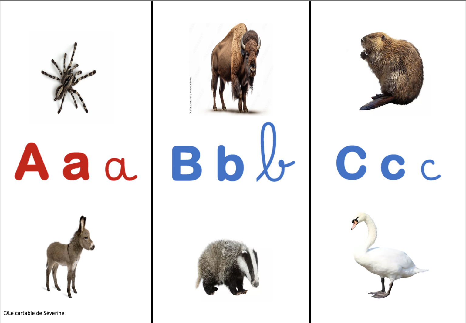 Archives des étiquettes animaux - Le cartable de Séverine