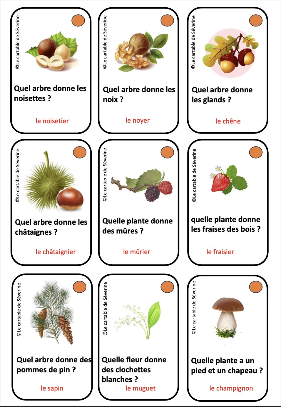Cartes défis cycle 1 et 2 - Le cartable de Séverine