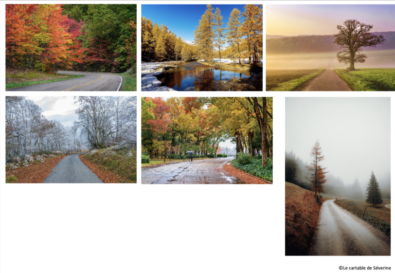 Explorer le monde Les saisons grande section