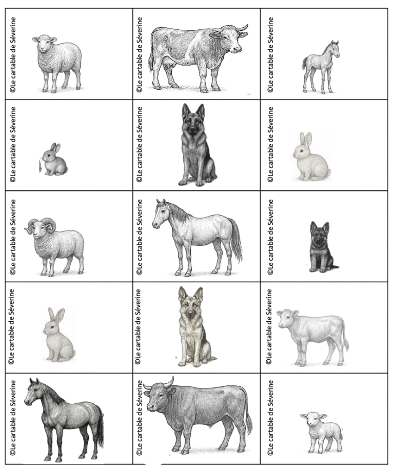 Les animaux de la ferme GS - Le cartable de Séverine