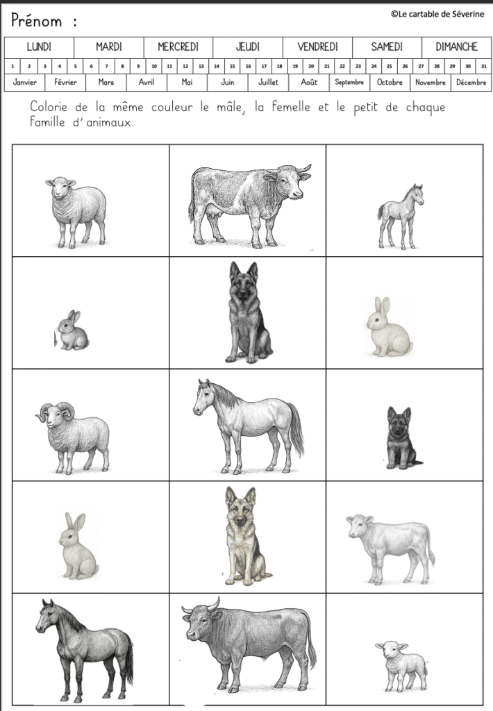 Les animaux de la ferme GS - Le cartable de Séverine